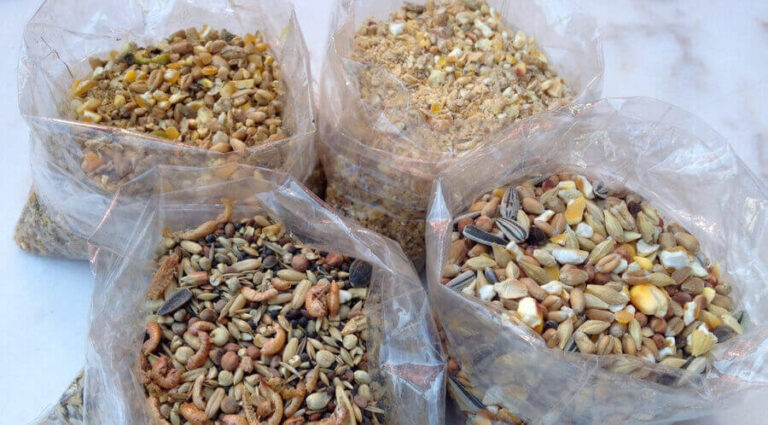 How to Make Organic Feeds for Chicken - TheFarmLiving.Com